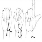 Major Profiles | The Major Experience